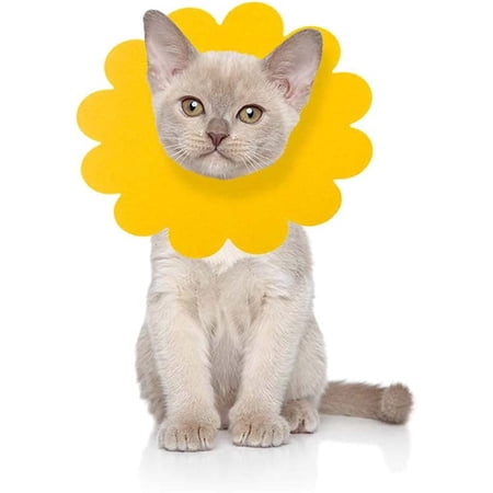 HHHC 5 Pieces Pet Cone Collar, Soft Recovery Cone for Cats Puppy Rabbit ...