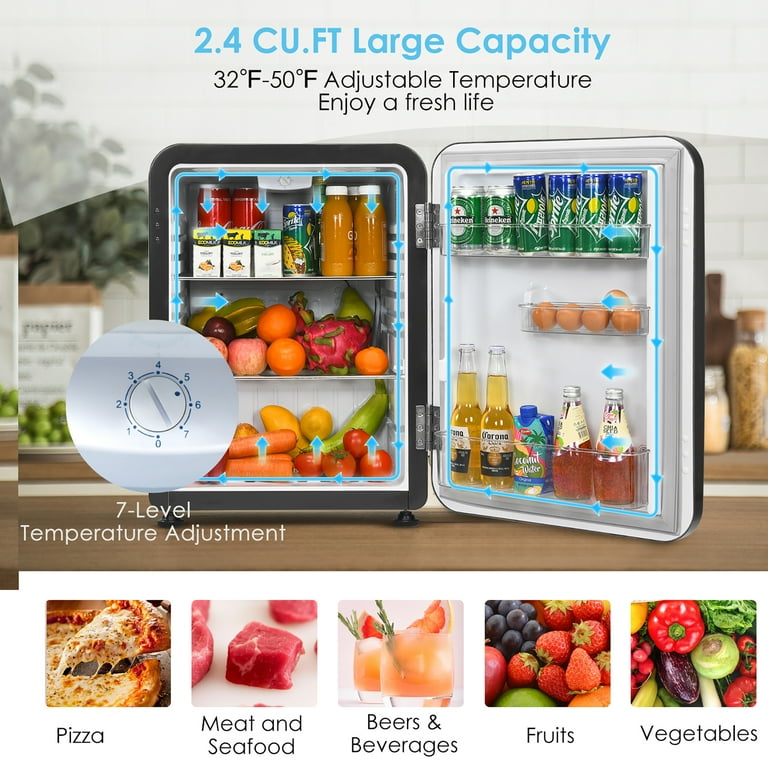 Mini Fridge For Vegetables | ppgbbe.intranet.biologia.ufrj.br