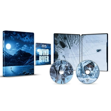 Lionsgate Home Entertainment Robin Hood (Blu-ray) (Steelbook) - Walmart.com