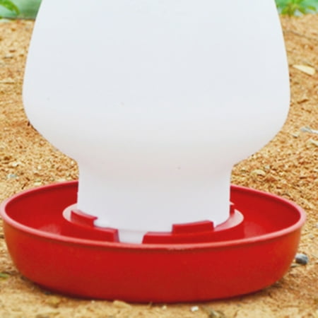 3L Bird Water Feeder Dome Poultry Feeding 3L poultry drinking Water ...