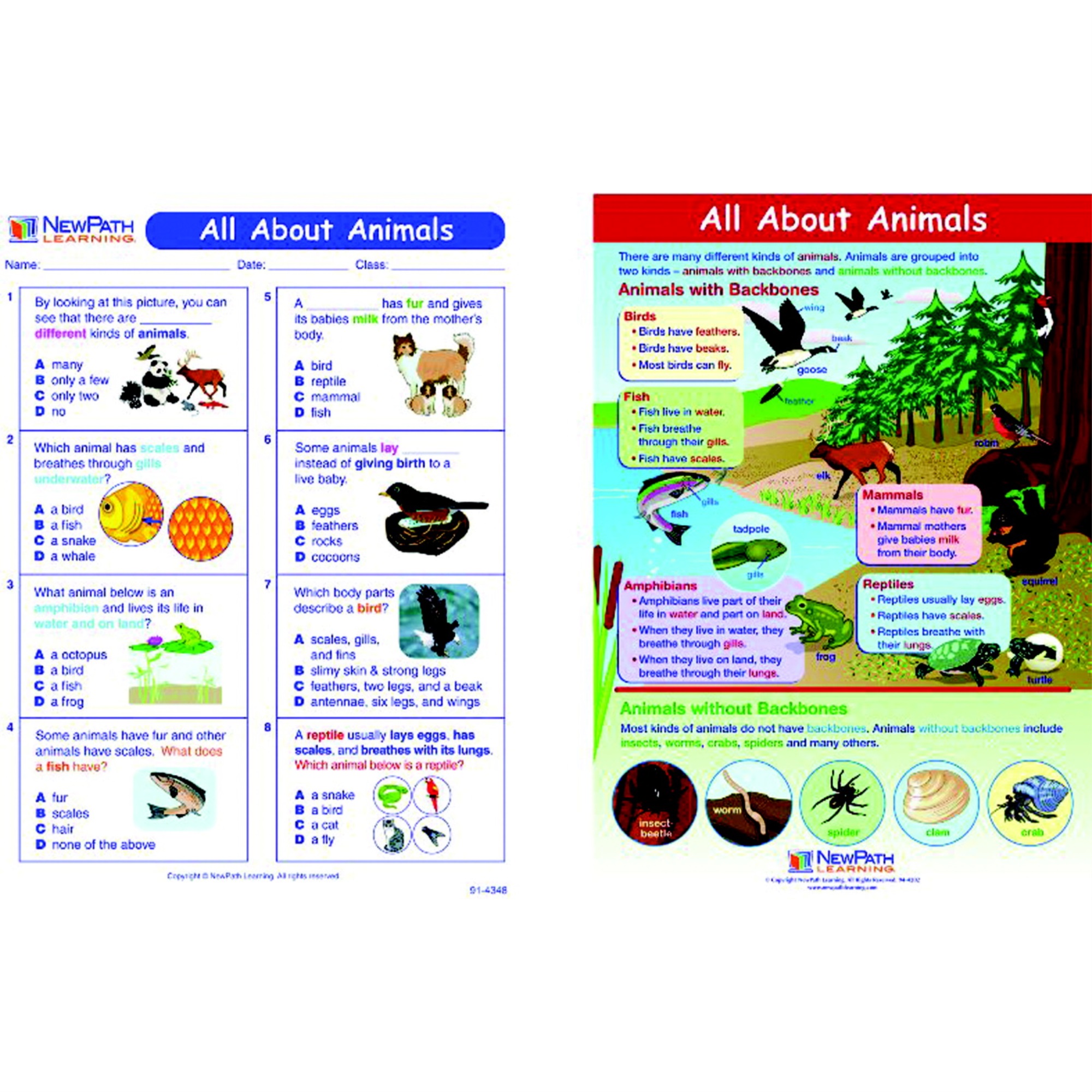 Science Visual Learning Guides and CD - Grade 2 - Walmart.com