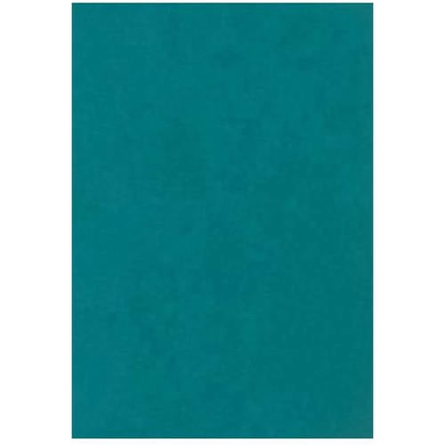 13 x 19 Cardstock - Teal (1000 Qty.) - Walmart.com