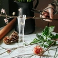 ITSELFER Small Bud Vase Single Stem Vase Clear Desktop Small Glass Vase ...