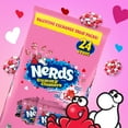 Nerds Valentine's Day Friendship Exchange Gummy Clusters Candy, 24 ...