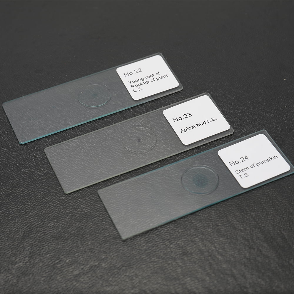 Buy 25PCS/Set Biological Glass Sample Prepared Basic Animal Plants ...