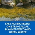 Crystal Clear Algae D-Solv, 16 Oz Liquid Algaecide, Pond Cleaner, EPA ...