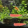 ADDHAT 10Pcs Red Fish Spawning Mop for Fish Tank Provides Natural ...