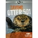 Nature: Saving Otter 501 (DVD) - Walmart.com