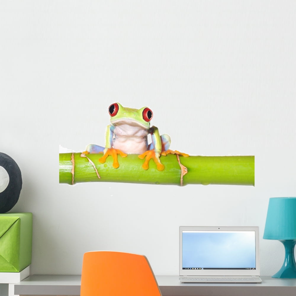 Red Eyed Tree Frog Wall Decal by Wallmonkeys Peel and Stick Graphic (24 ...