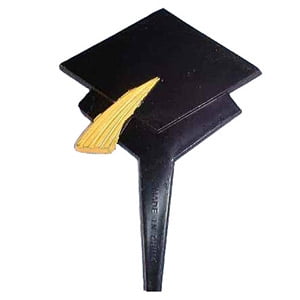 GRAD HAT PICK 3" 12 PC | Walmart Canada