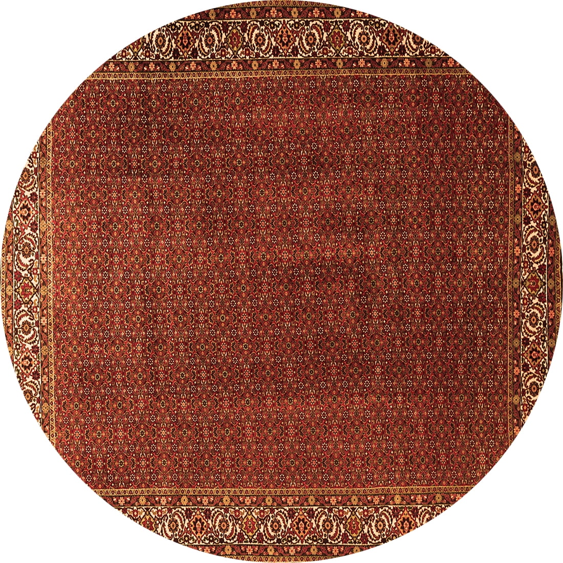 Ahgly Company Indoor Round Persian Orange Traditional Area Rugs, 8 ...