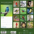 2018 Backyard Birds Mini Calendar - Walmart.com