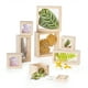 Guidecraft Treasure Blocks - Clear: Smooth Wooden Observation Stacking ...