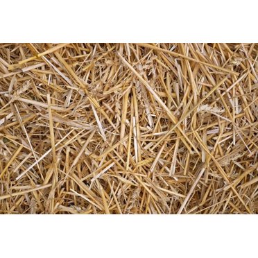 Straw Seeding Mulch with Tack - Biodegradable Organic Processed Straw ...