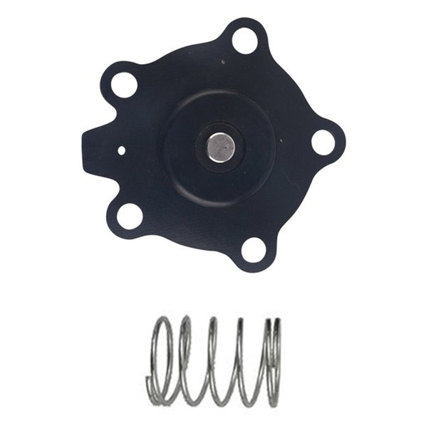 Lefu for GOYEN K2000 (M1204B) DIAPHRAGM VALVE KIT RCA20 - Walmart.ca