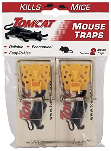 Tomcat Mouse Traps (Wooden), Inexpensive, Effective Way to Catch Mice ...
