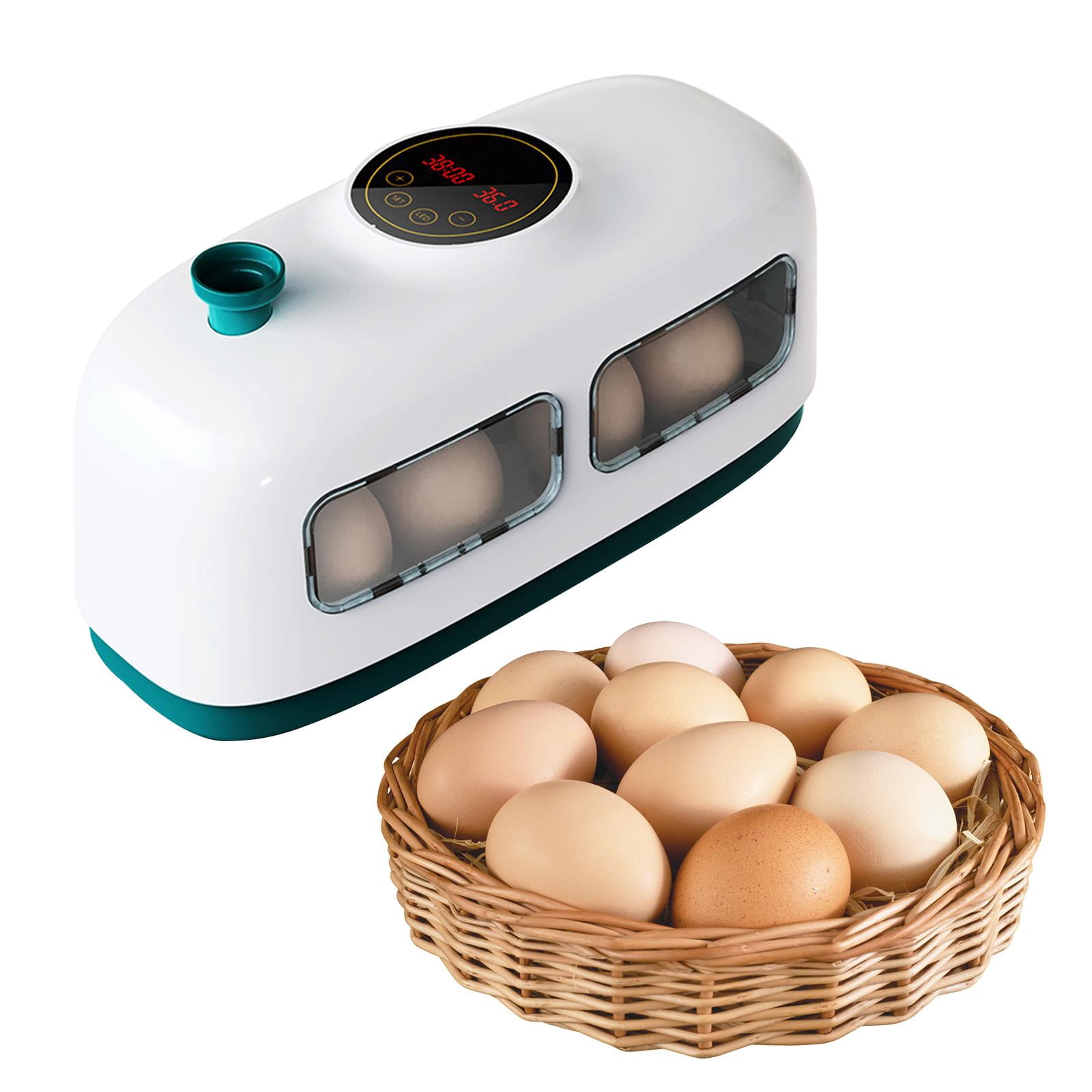 Automatic Egg Incubator, Egg Turner Egg Hatcher Digital Poultry 8 Egg ...