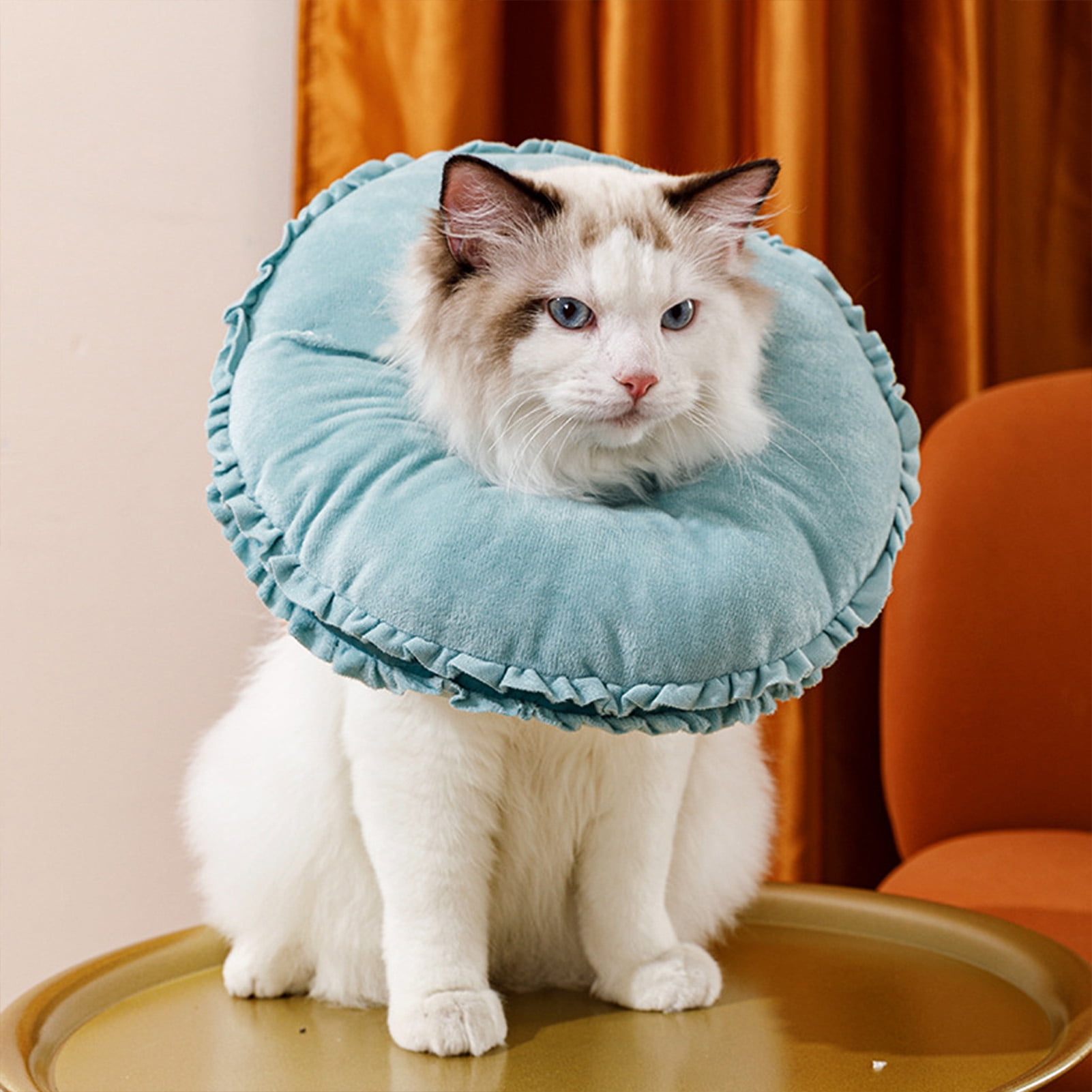Bobasndm Cat Recovery Cone Friendly to Skin Non-Irritating Ultra-Light ...