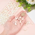 1 Box 160Pcs 6 Style Glass Pearl Beads Teardrop Mixed Color 7~16x5~9mm ...