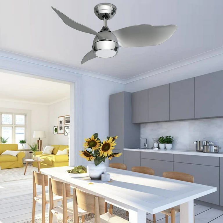 Small Kitchen Ceiling Fan With Lights | Shelly Lighting
