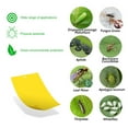 Dual Sided Yellow Sticky Traps For Flying Plant Insect Like Fungus Gnats
