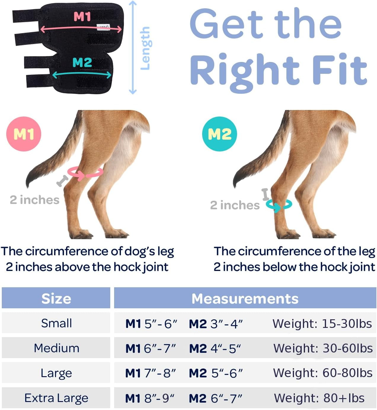 What Is The Hock Joint On A Dog