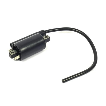 Briggs and Stratton Ignition Coil - Walmart.com