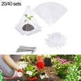 CaraMart Transparent PVC Plant Cloches 11.8 x 7.8 for Frost Rain Snow ...