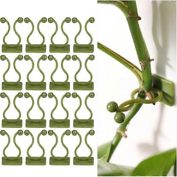 Click here for Shanjiang 100 Pcs 15mm Climbing Plant Support Clip... prices