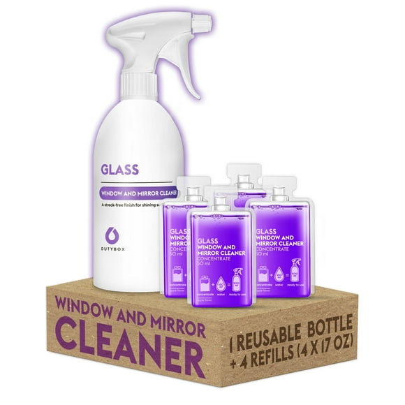 Spray Bottle Window Cleaner