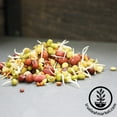 Bean Salad Sprouting Seed Mix- Organic- 2.5 Lbs- Mix of Bean Sprout ...