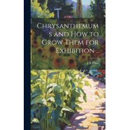 Flowers from Universe: Textiles of Java (Hardcover) - Walmart.com