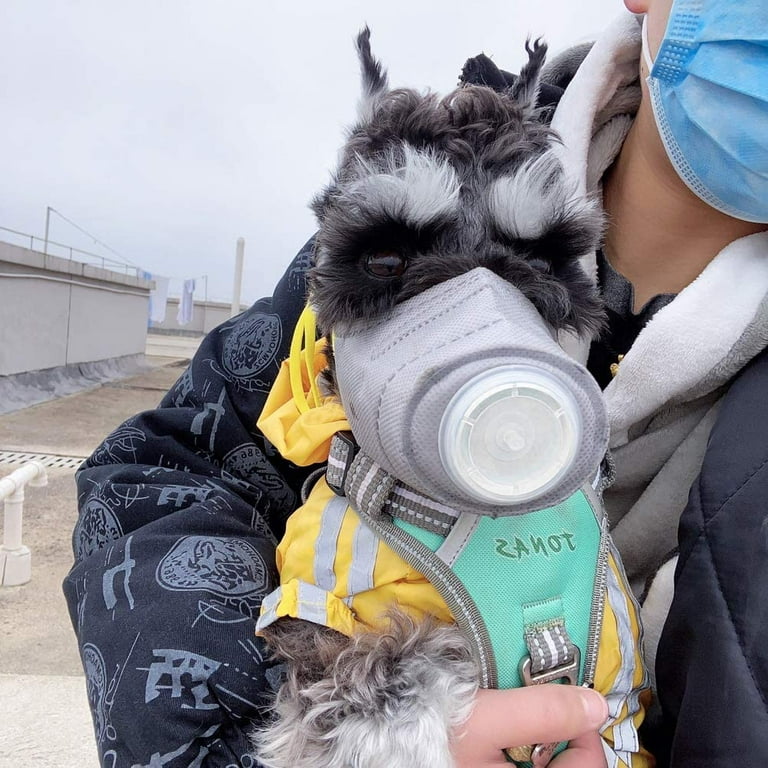 Do They Make Gas Masks For Dogs