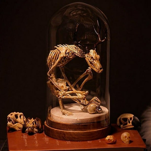 Baiwo Visual Experience Skeleton Sculpture Rounded Corners Resin DIY ...