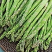 Wowza! Bush Cherry Dormant Bare Root Fruit Bearing Starter Plant, 1 ...