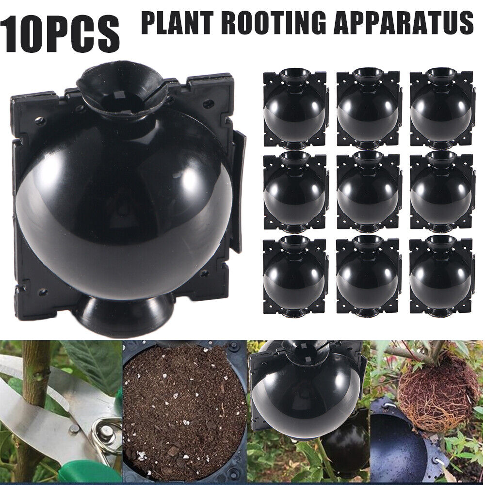 10x Plant Rooting Devices Growing Grafting Box High Pressure ...
