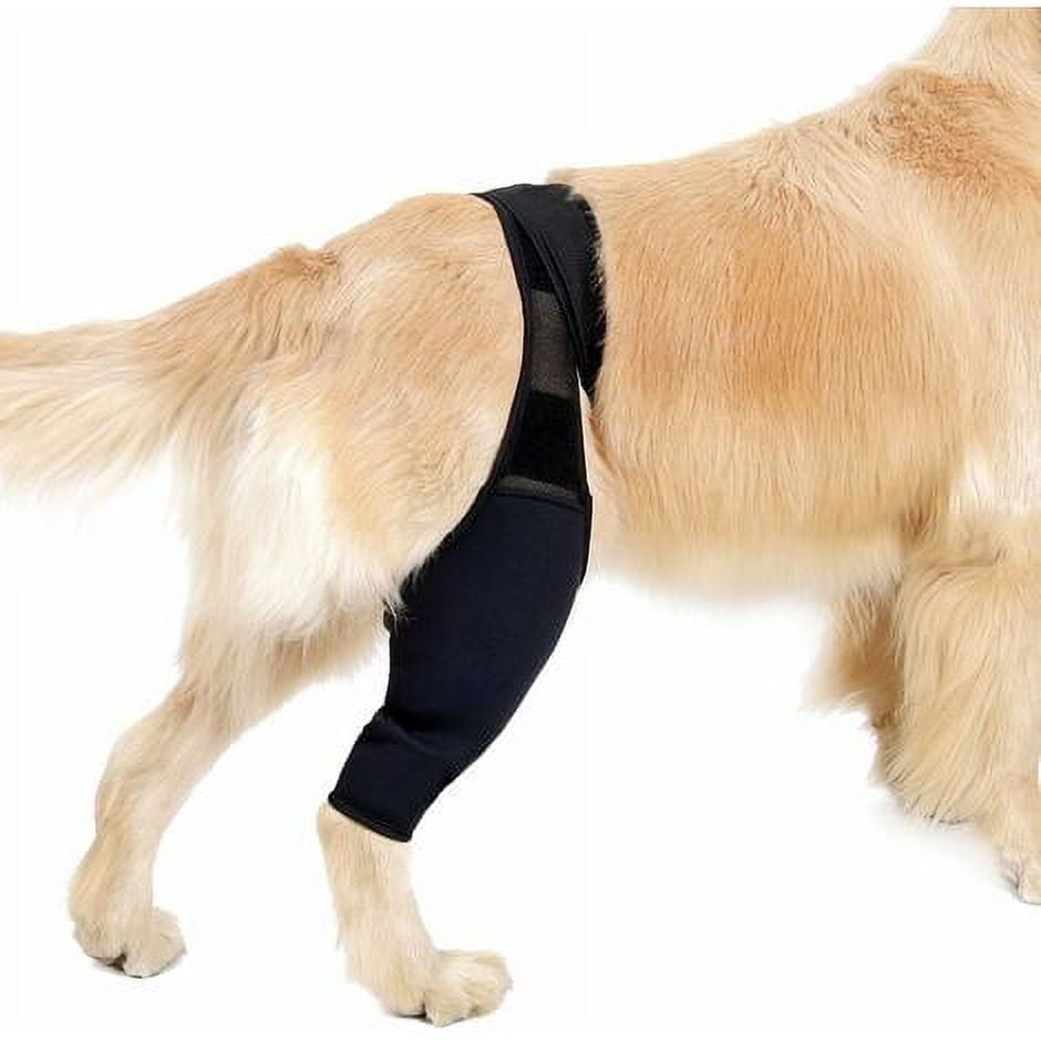 Click here for Lojalitet Front Rear Leg Support Brace For Dog Spr... prices