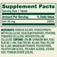 Spring Valley Slow Release Iron General Health & Wellness Dietary ...