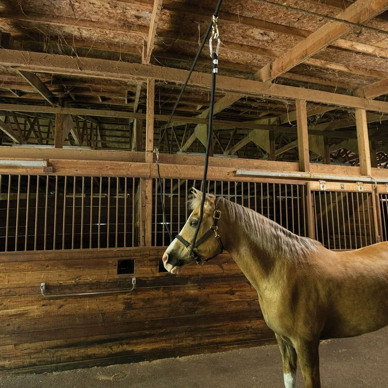 Latigo For Western Saddle Schneiders Dura-Tech Overhead Horse Tie ...