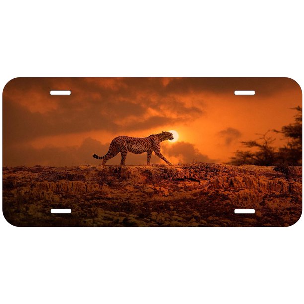 Cheetah Car Stickers