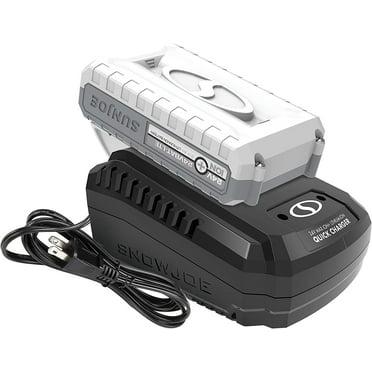 Snow Joe + Sun Joe iBAT20-LT EcoSharp® LITE Lithium-Ion Battery | 20 ...