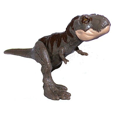 Colored Trex