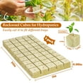 Legigo 1 Inch Rockwool Cubes Seed Starter Grow Cubes for Hydroponics ...