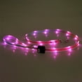 erfcxs USB Rechargeable LED Illuminated Dog Leash and Collar Set with ...