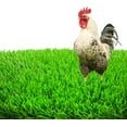 Ikerall, Chicken Nesting Pads, 12x12", Washable Reusable 8pk - Walmart.com