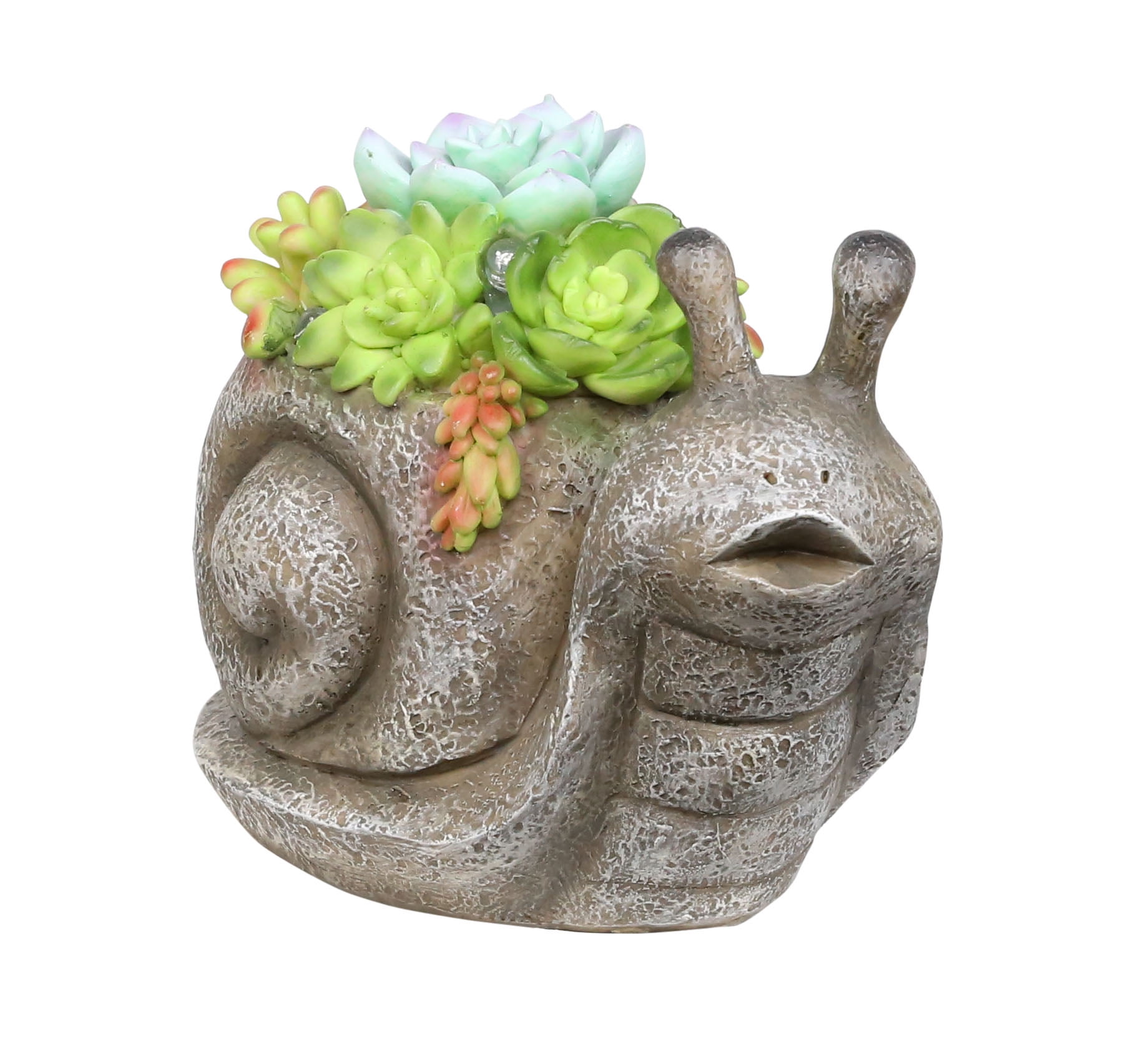 Alpine Solar Snail w/ Succulent Accents and Colorful LED Lights, 6 Inch ...
