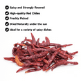Natruen Szechuan Chinese Red Chili Pods 4oz, Medium Hot, Spicy Dried ...