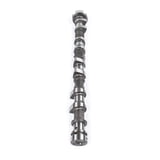 GELUOXI Intake Camshaft LR030366 for Land Rover Discovery, Range Rover ...