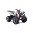 Tao Motor 125 T-FORCE Platinum 120cc Gas Powered Quad Wheeler All ...