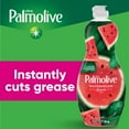 Palmolive Ultra Limited Edition Liquid Dish Soap, Watermelon Splash ...